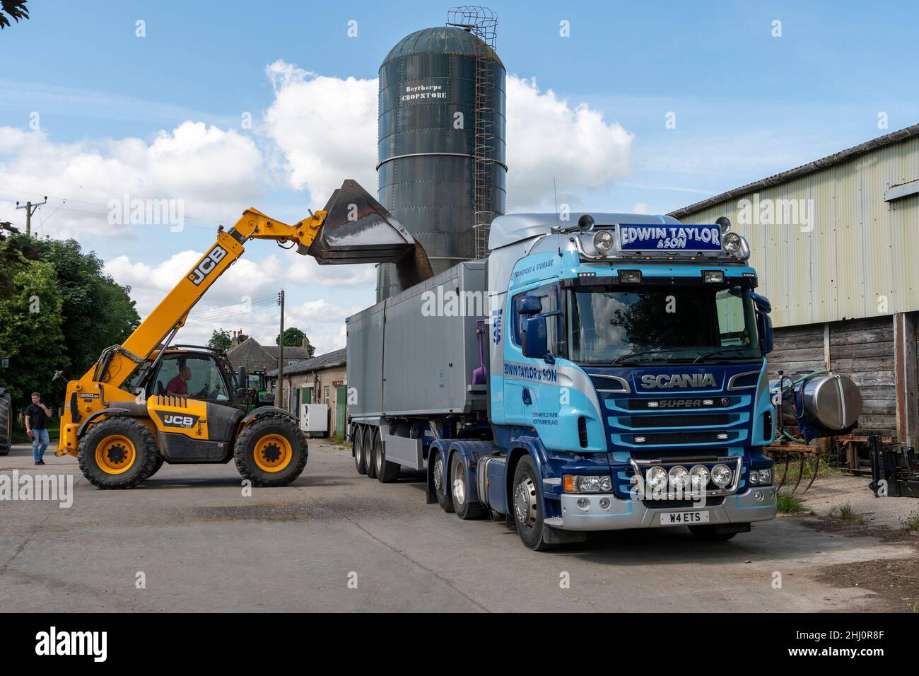 Loading wheat into lorry trailer Stock Photo - Alamy