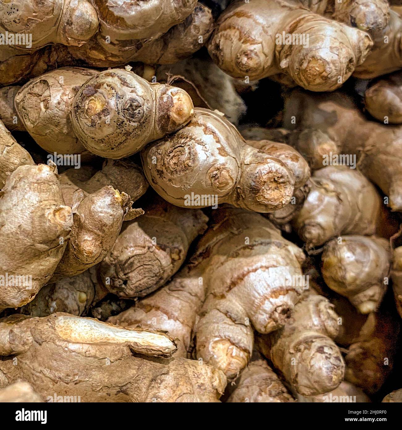 Ginger roots close-up. Background from many rhizomes Stock Photo - Alamy
