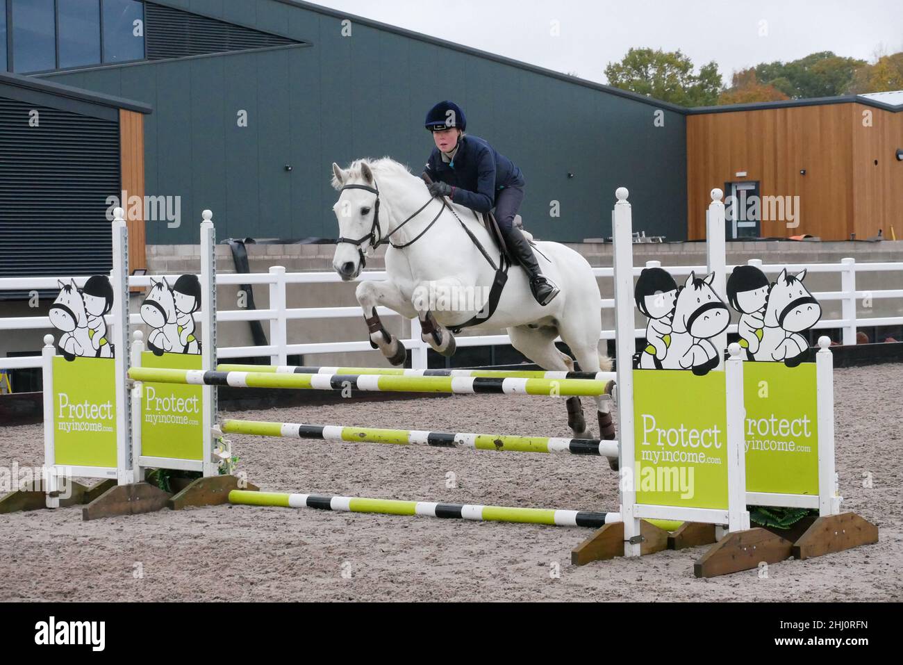 Connemara Pony Jumping High Resolution Stock Photography and Images - Alamy