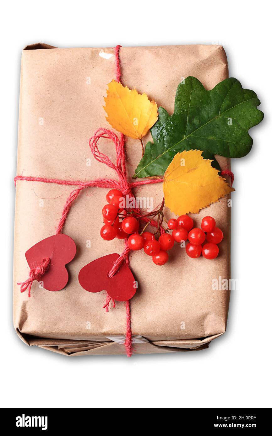 autumn gift box with a surprise isolated on a white background Stock ...