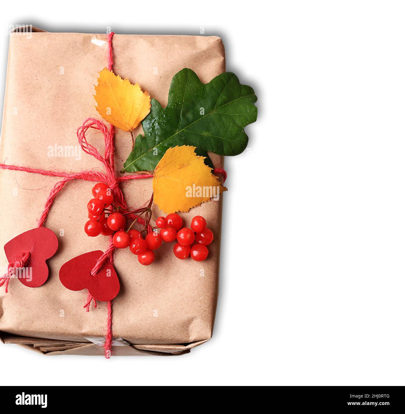 autumn gift box with a surprise isolated on a white background Stock ...