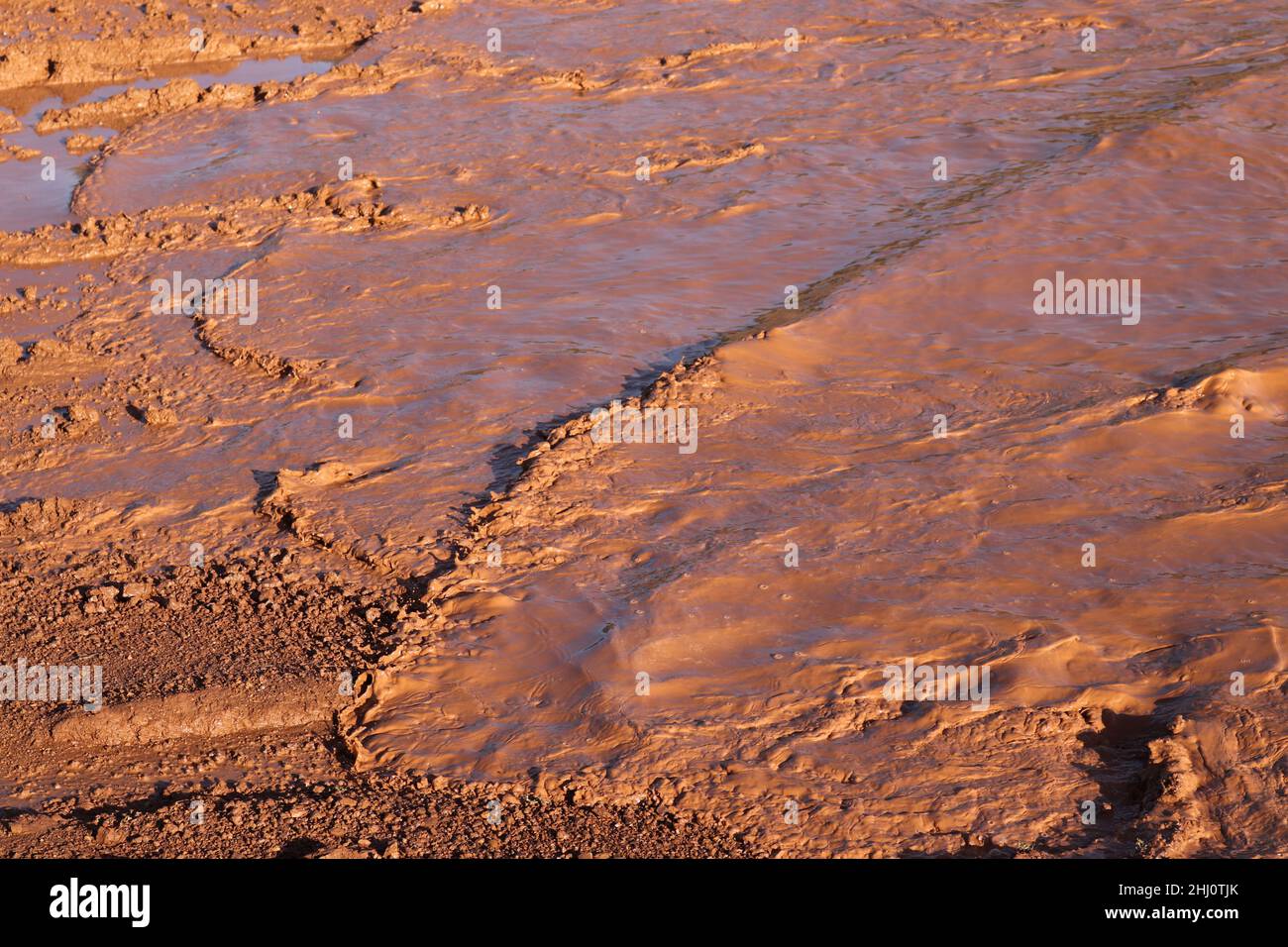 Close-up view of liquid mud texture. mud surface after rain Stock Photo ...