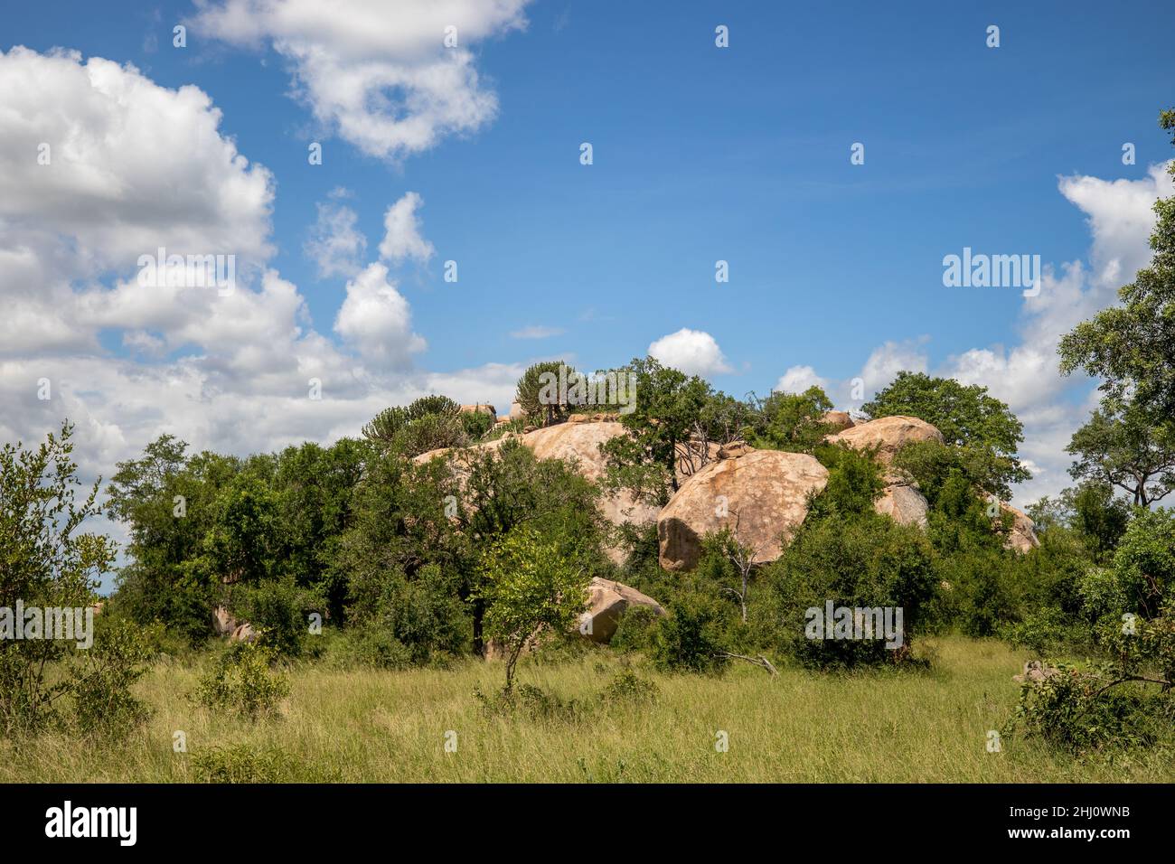 Kruger National Park landscape and scenery Stock Photo - Alamy