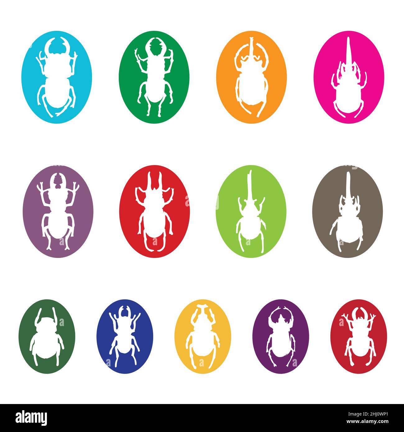 Vector group of insects on white background. Beetle. Easy editable ...