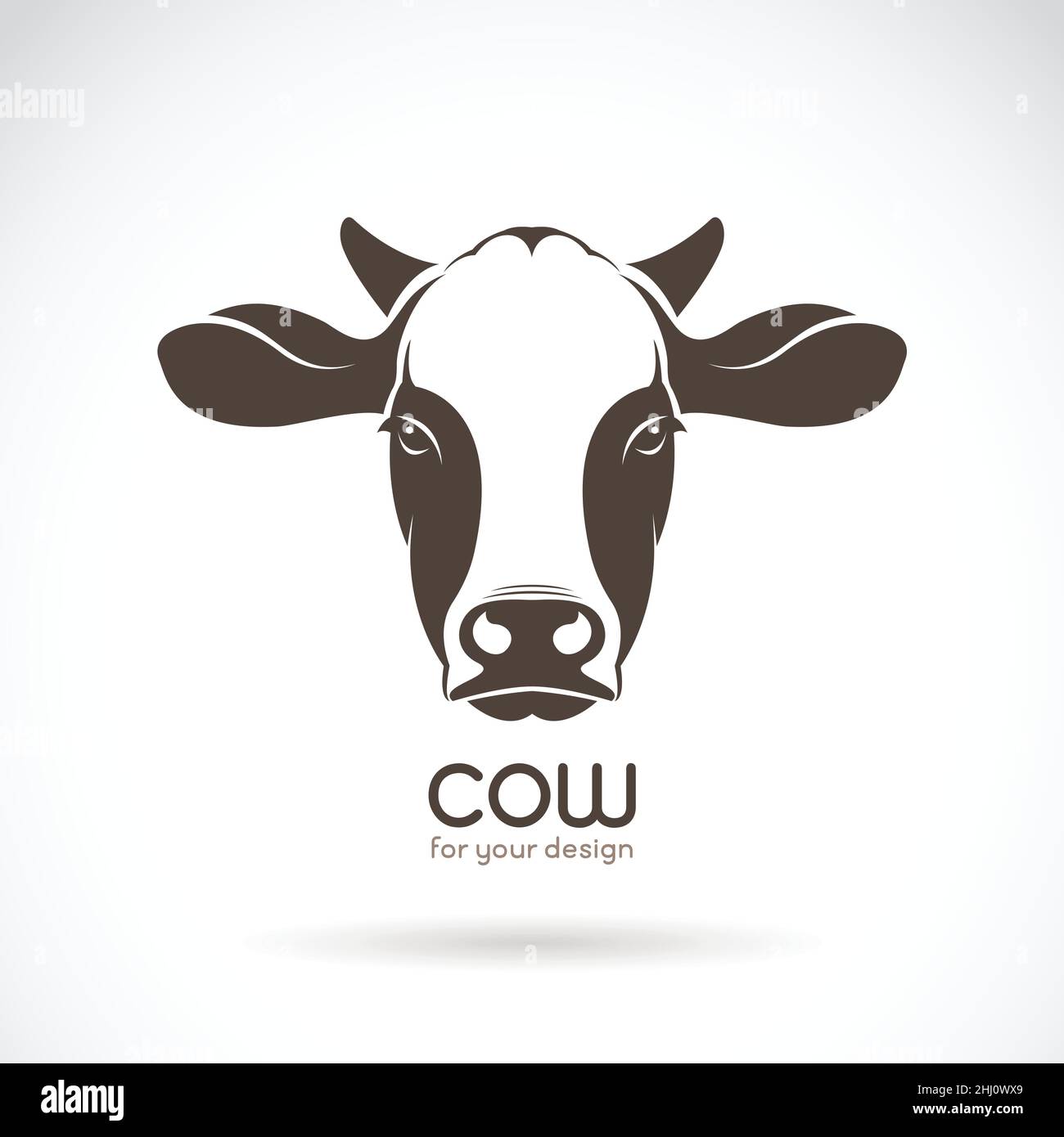 Vector of cow face design on white background. Farm Animal. Easy ...