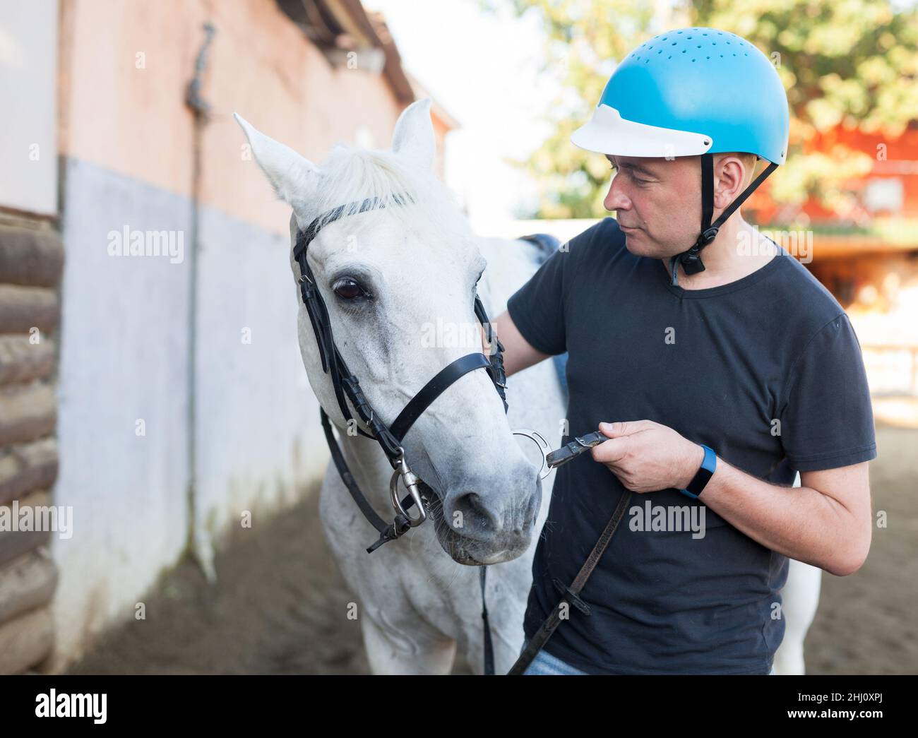 Male farmer in helmet standing with white horse at stable outdoor Stock ...