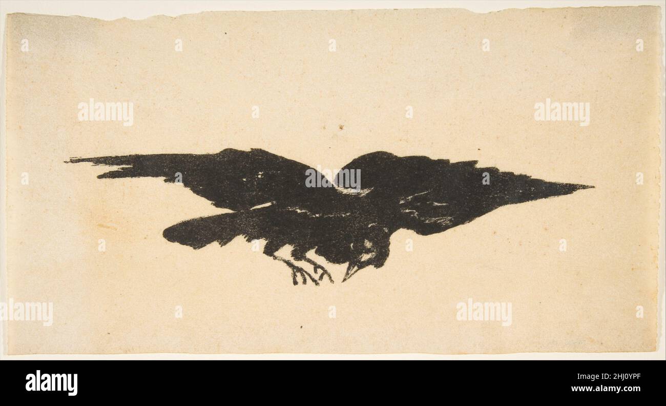 The Flying Raven, Ex Libris for The Raven by Edgar Allan Poe 1875 ...