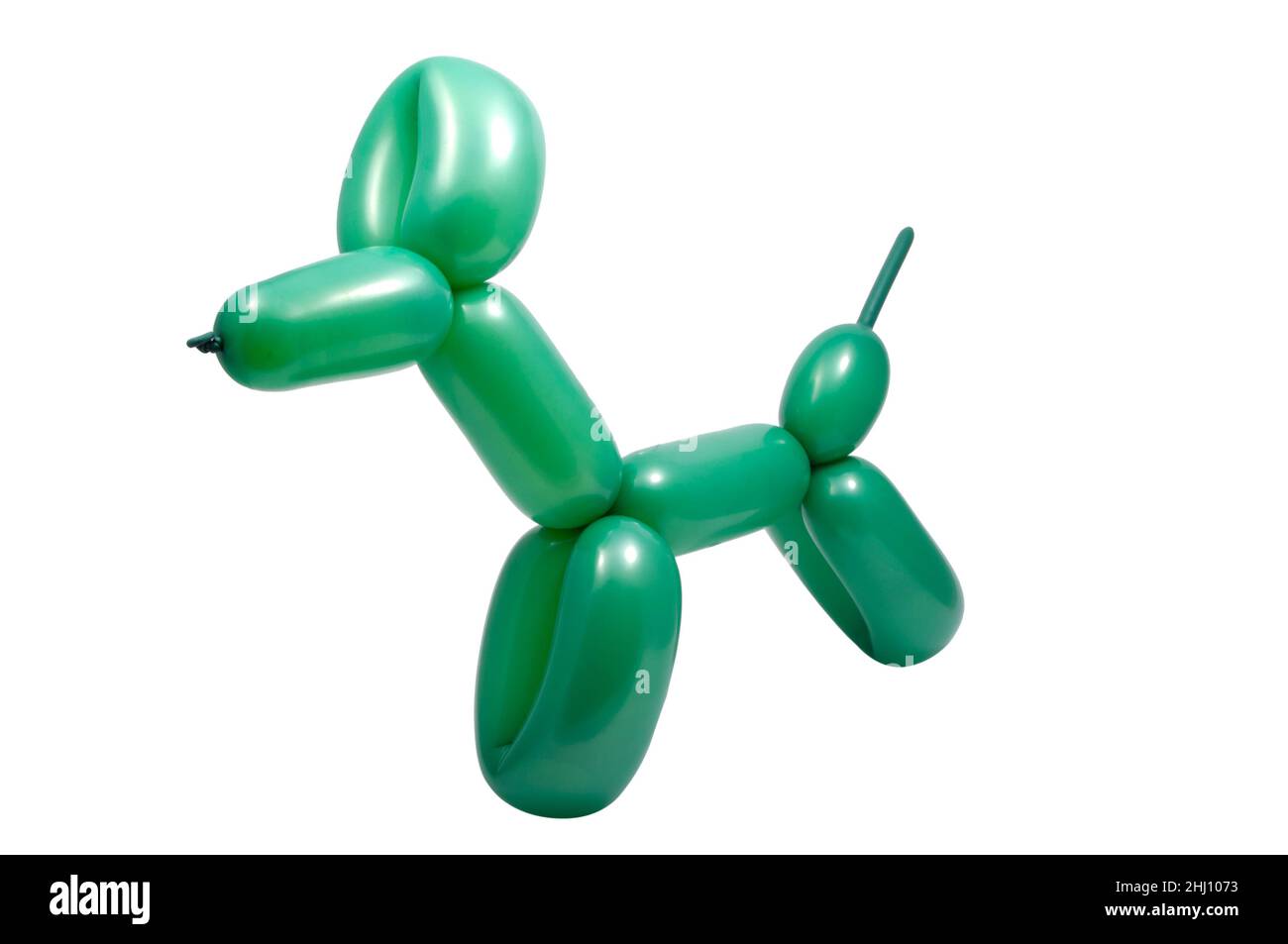 green balloon model of dog isolated on the white Stock Photo - Alamy