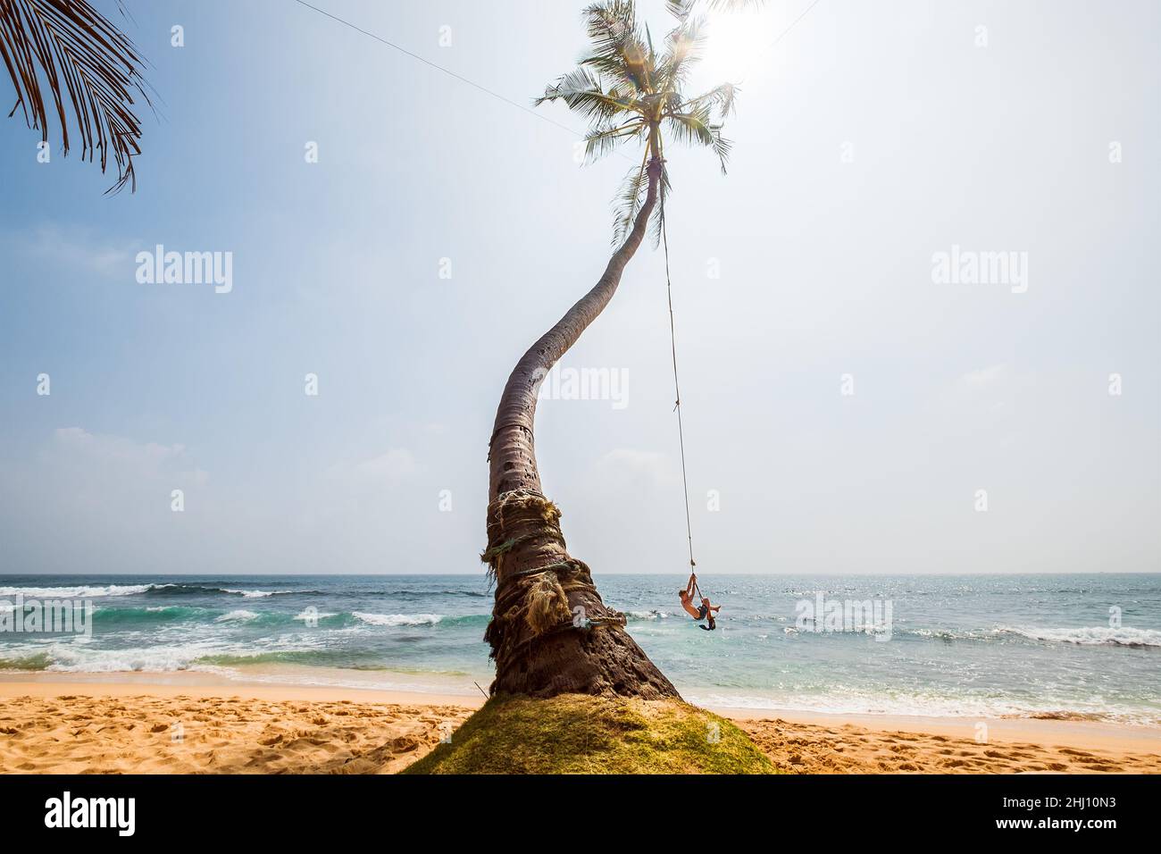 Man On Coconut Tree High Resolution Stock Photography and Images - Alamy