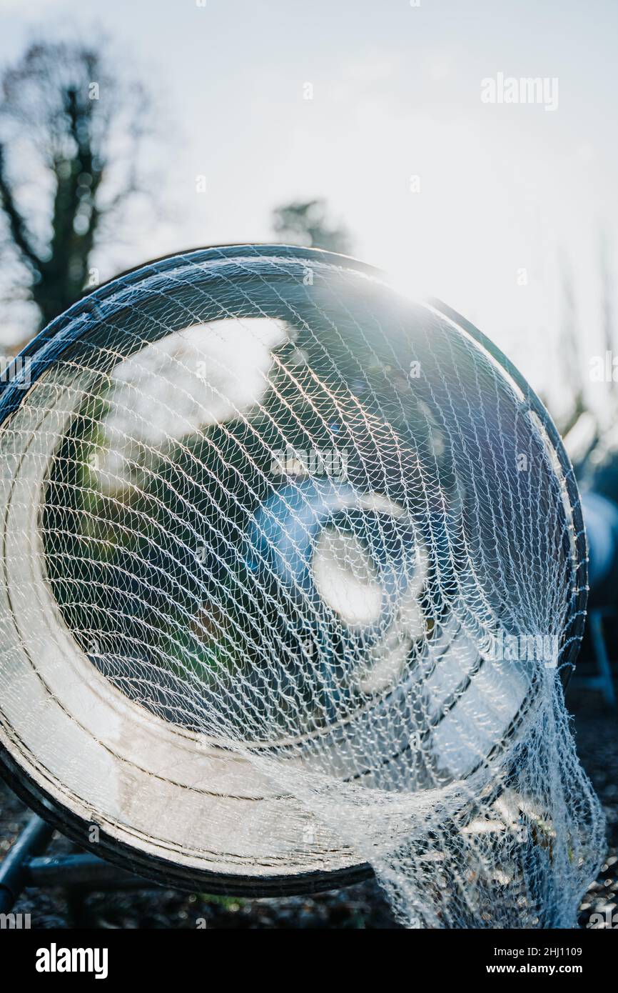Christmas tree net hi-res stock photography and images - Alamy