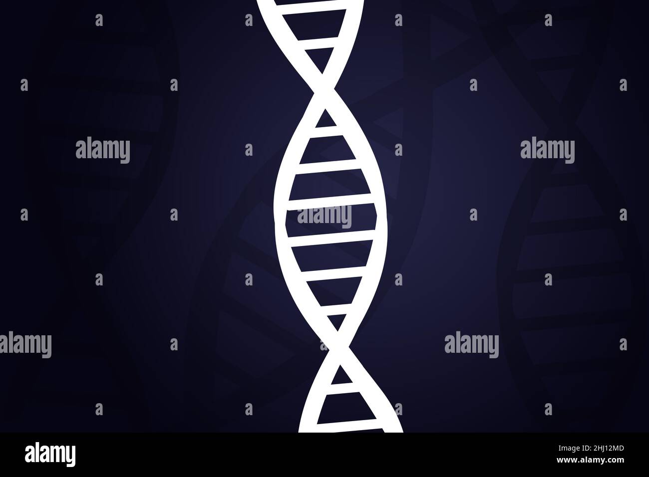 Illustration human cell anatomy hi-res stock photography and images - Alamy