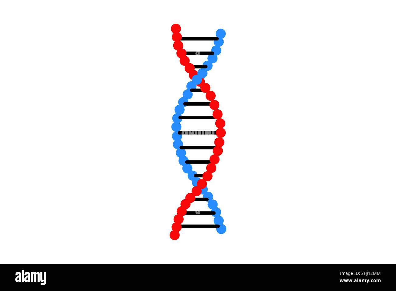 Evolution human dna hi-res stock photography and images - Alamy