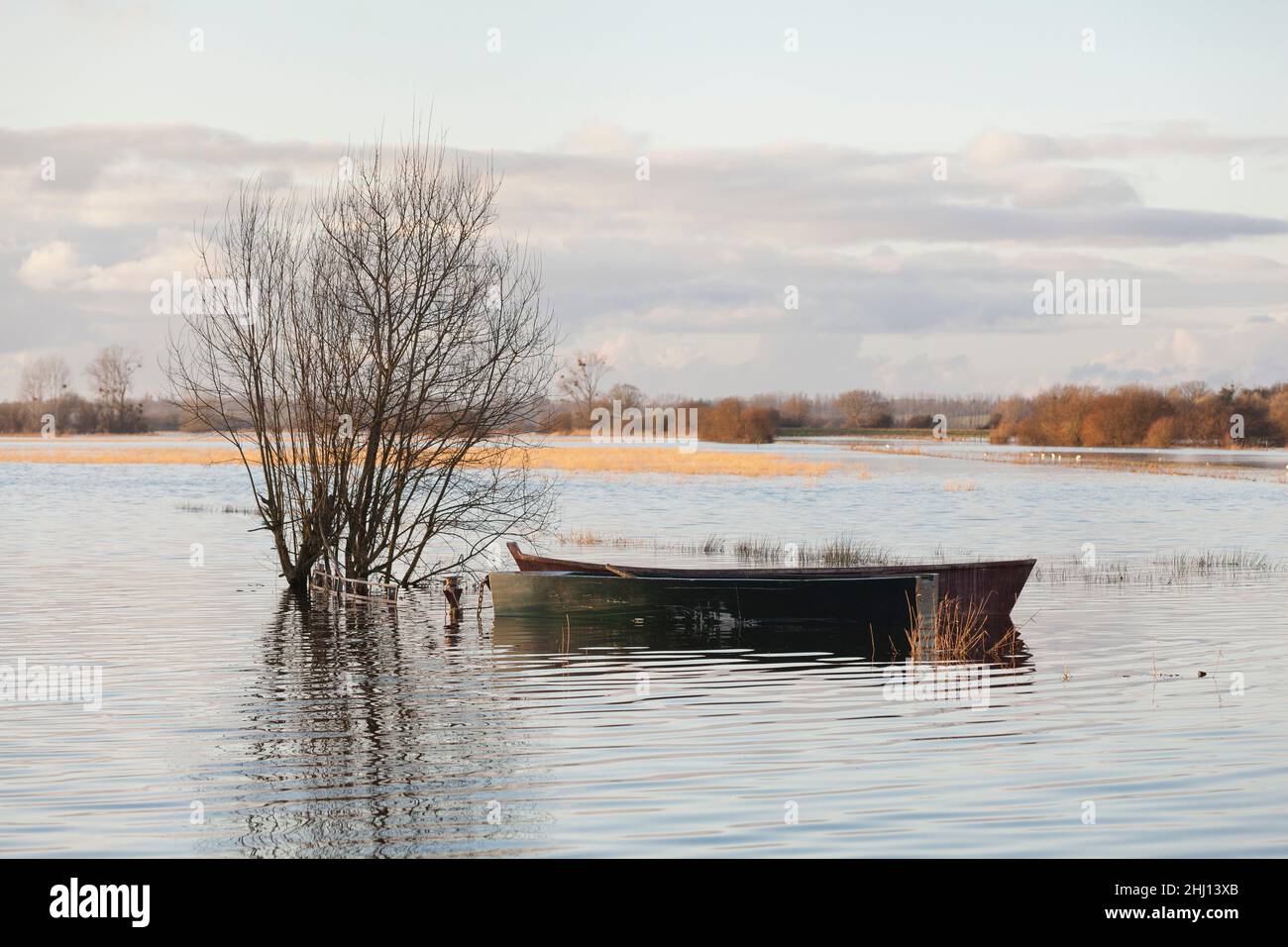Boat in the flooded swamp near Carentan, Cotentin, Normandy, France ...