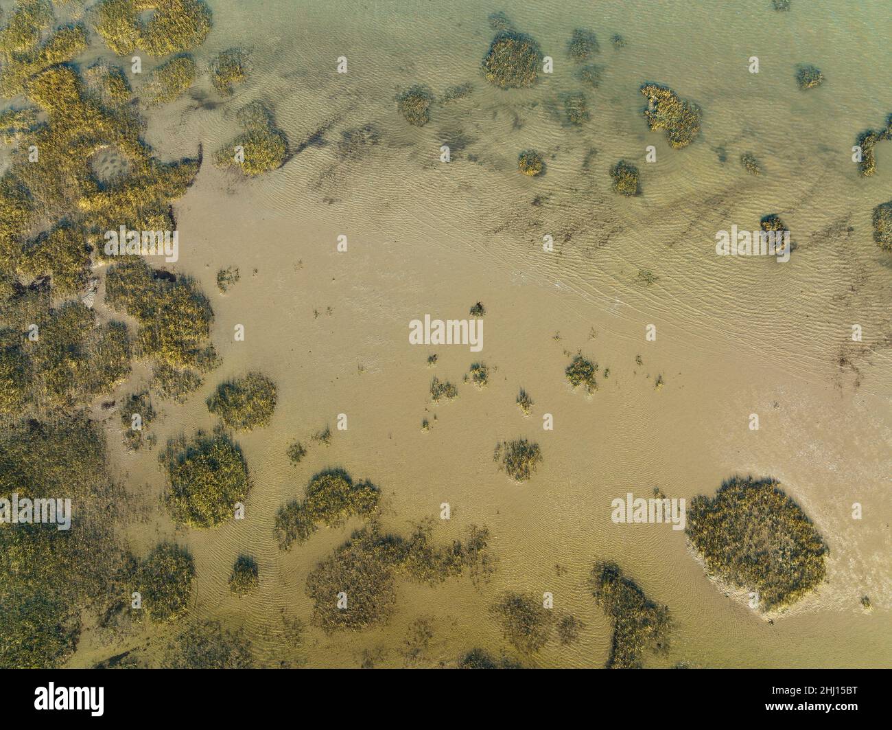 Aerial view of Salt Marshes, Plants and Sand structures in Normandy ...