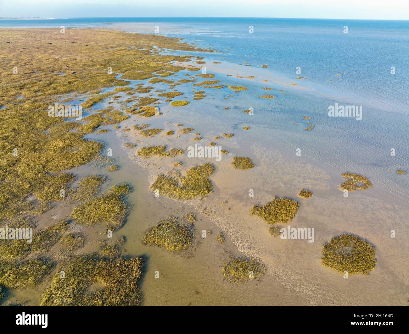 Aerial view of Salt Marshes, Plants and Sand structures in Normandy ...