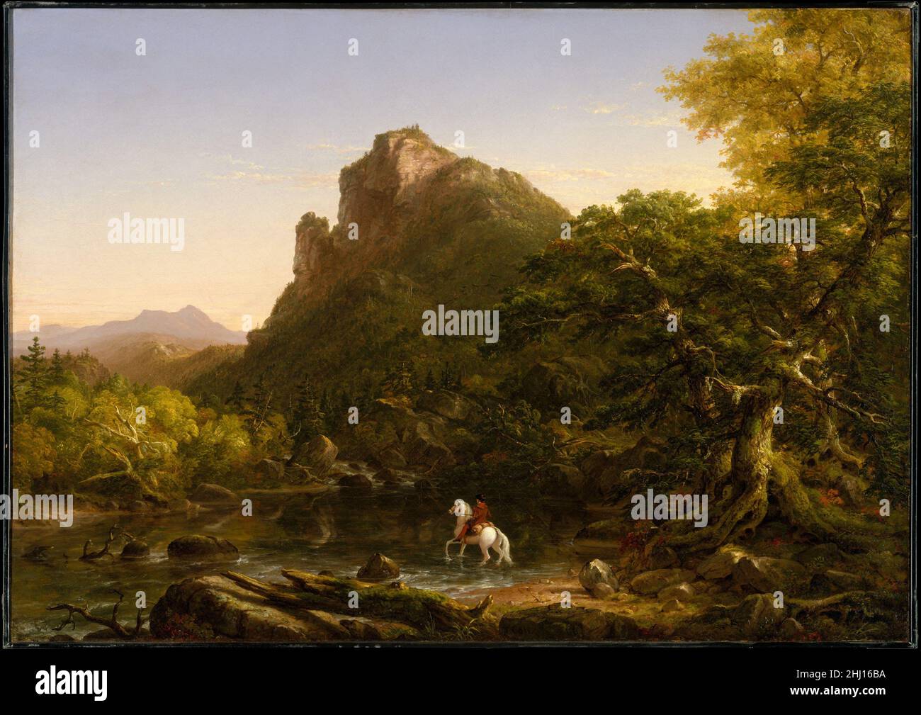 Symbolic Meaning Of Forest