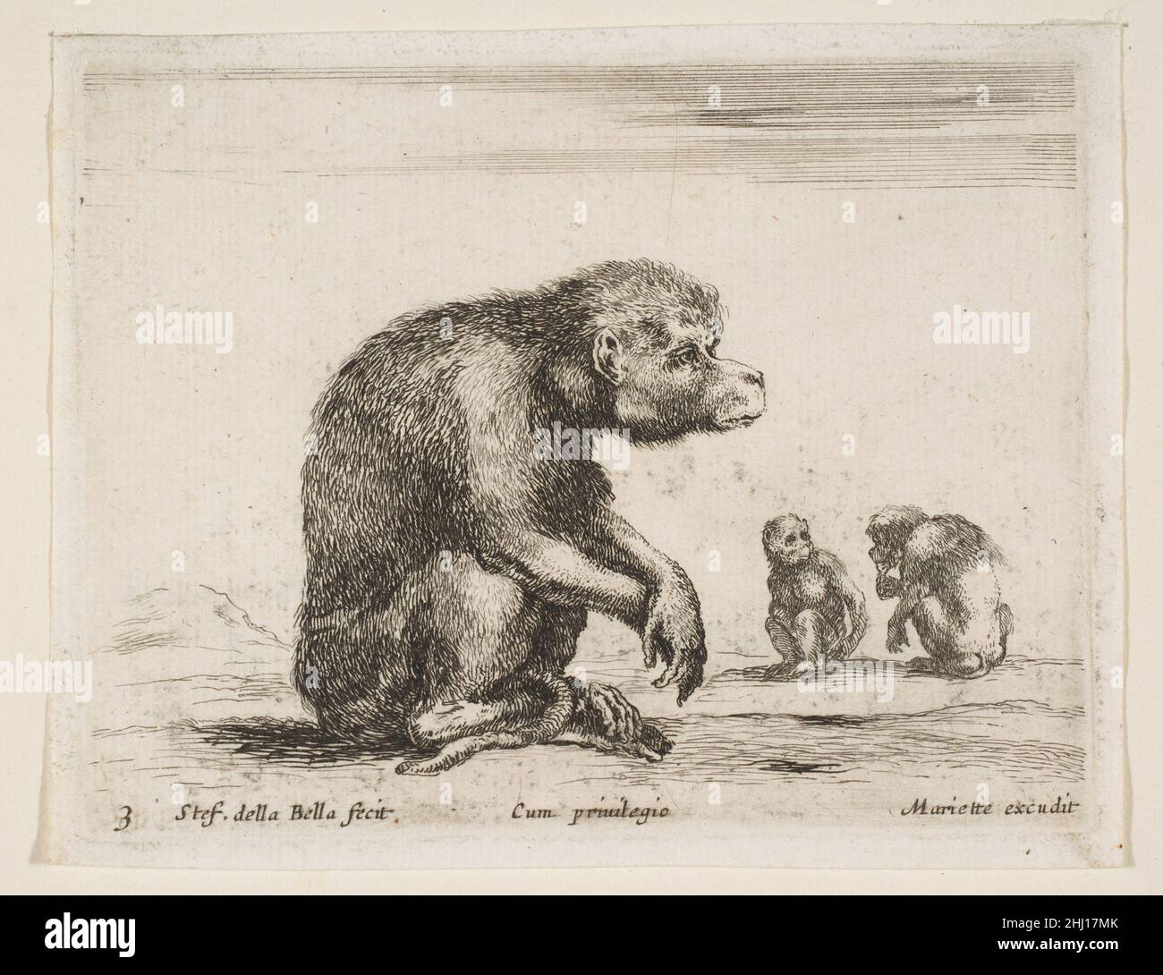 Plate 3: seated monkey, from 'Various animals' (Diversi animali) 1641 ...
