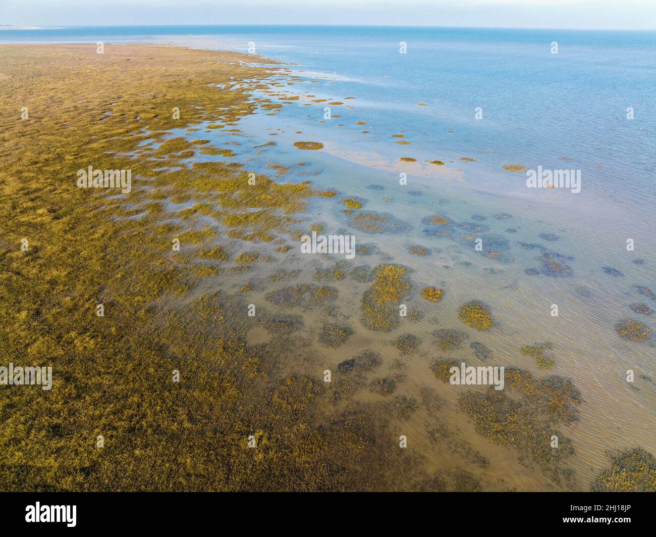 Aerial view salt marshes hi-res stock photography and images - Alamy