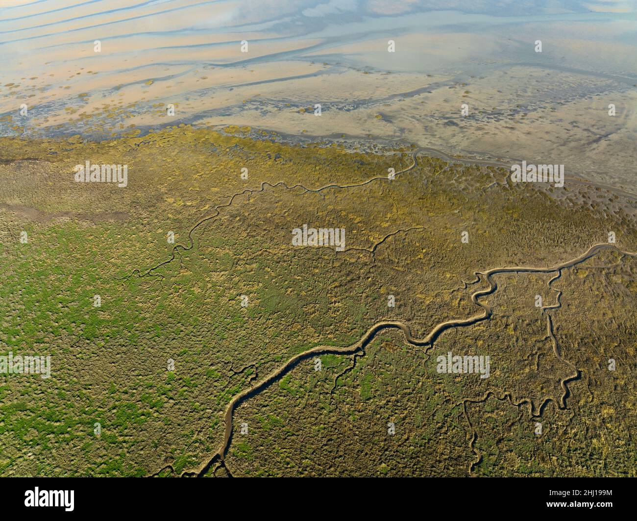 Aerial view of Salt Marshes, Plants and Sand structures in Normandy ...