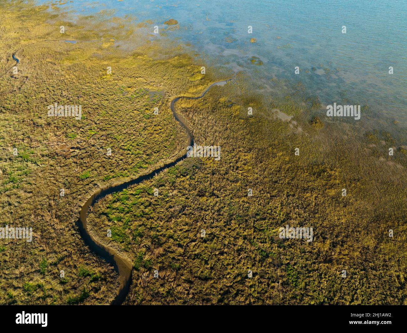 Salt Marshes, Plants and Sand structures from aerial perspective in ...
