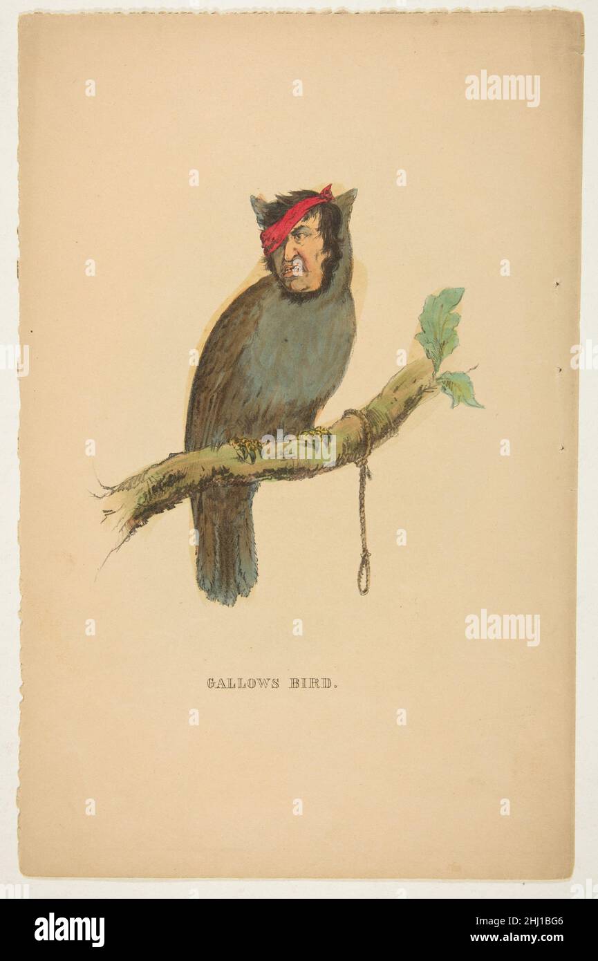 Gallows Bird, from The Comic Natural History of the Human Race 1851 ...