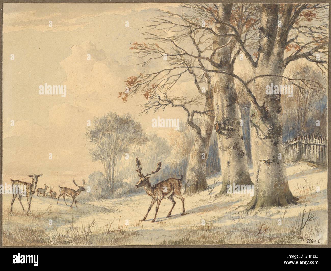 Deer under Beech Trees in Summer 1853 Hendrik Gerrit ten Cate Dutch ...