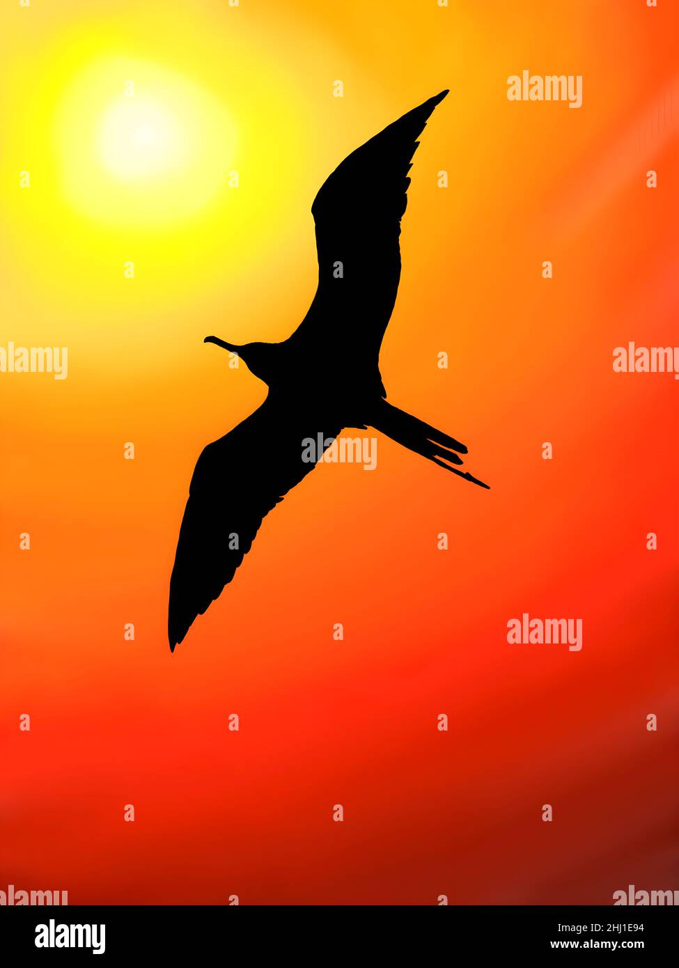 Flying Bird Silhouette Digital Art Illustration Stock Photo - Alamy
