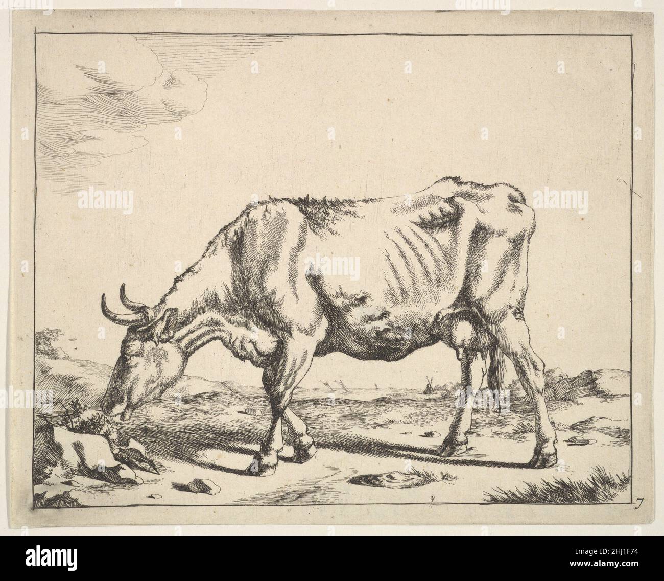 Cow, after Paulus Potter Marcus de Bye Dutch. Cow, after Paulus Potter ...
