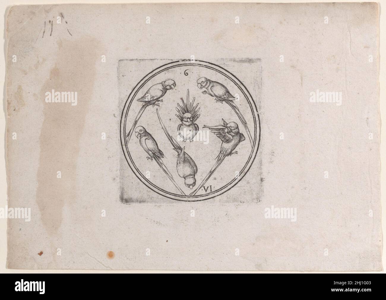 The Six of Parrots, from the series of round playing cards ca. 1500 ...