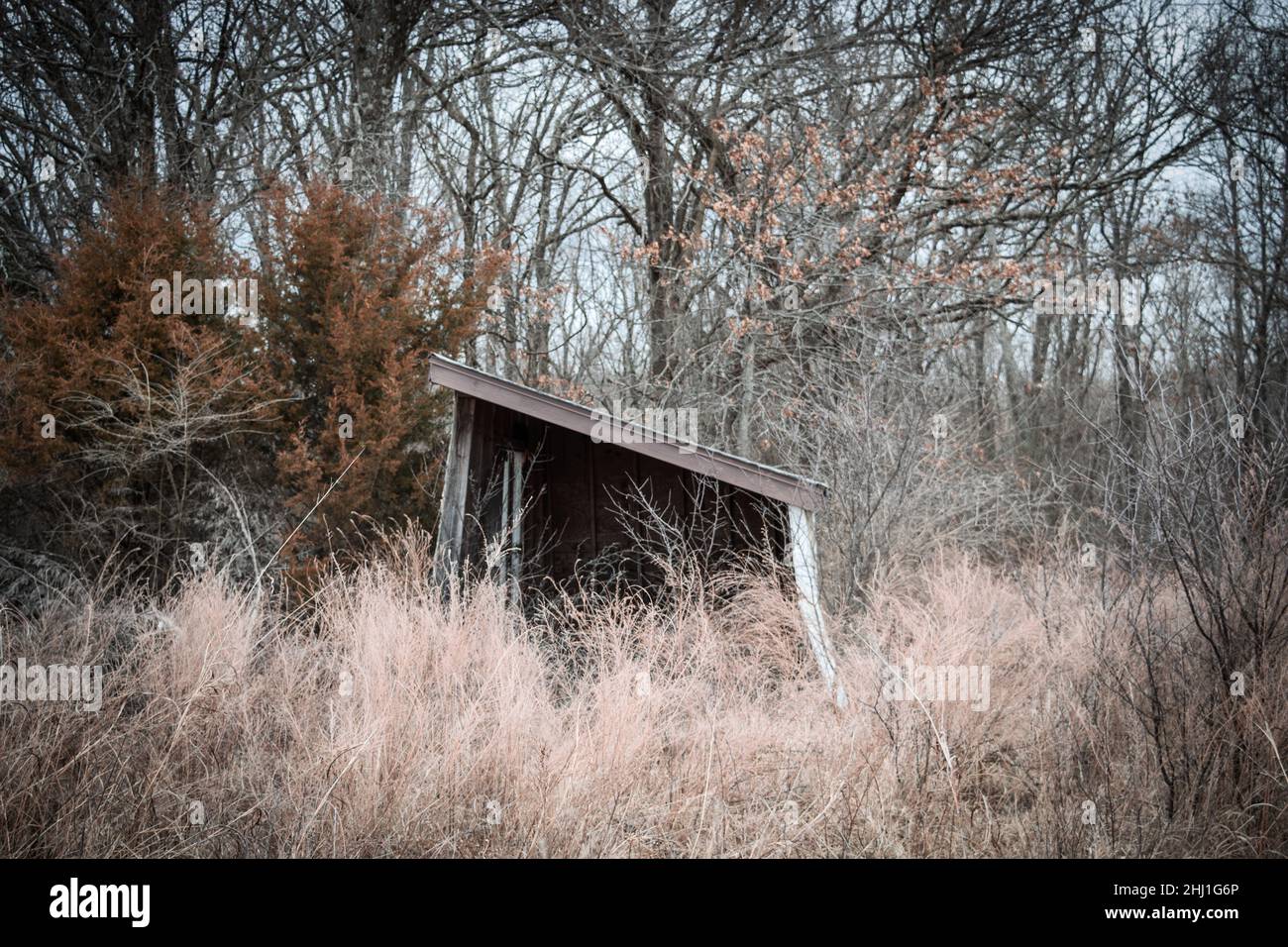 Lost little shack Stock Photo - Alamy
