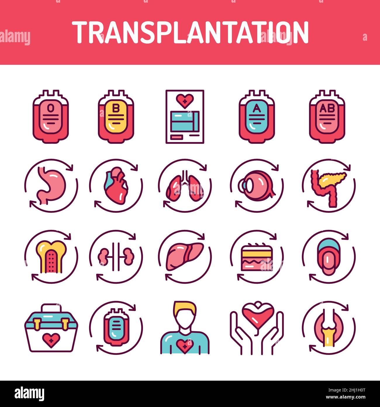 Transplantion line icons set. Isolated vector element. Outline ...