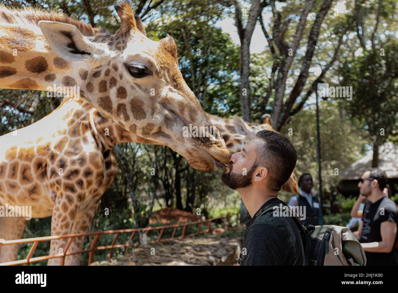 NAIROBI, KENYA - MARCH 20, 2018: A tourist gets a messy kiss from a ...