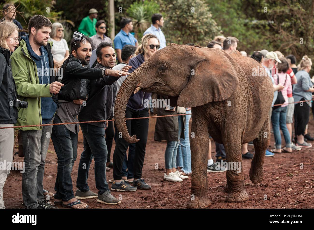 NAIROBI, KENYA - MARCH 20, 2018: Nairobi National Park visitors lean ...