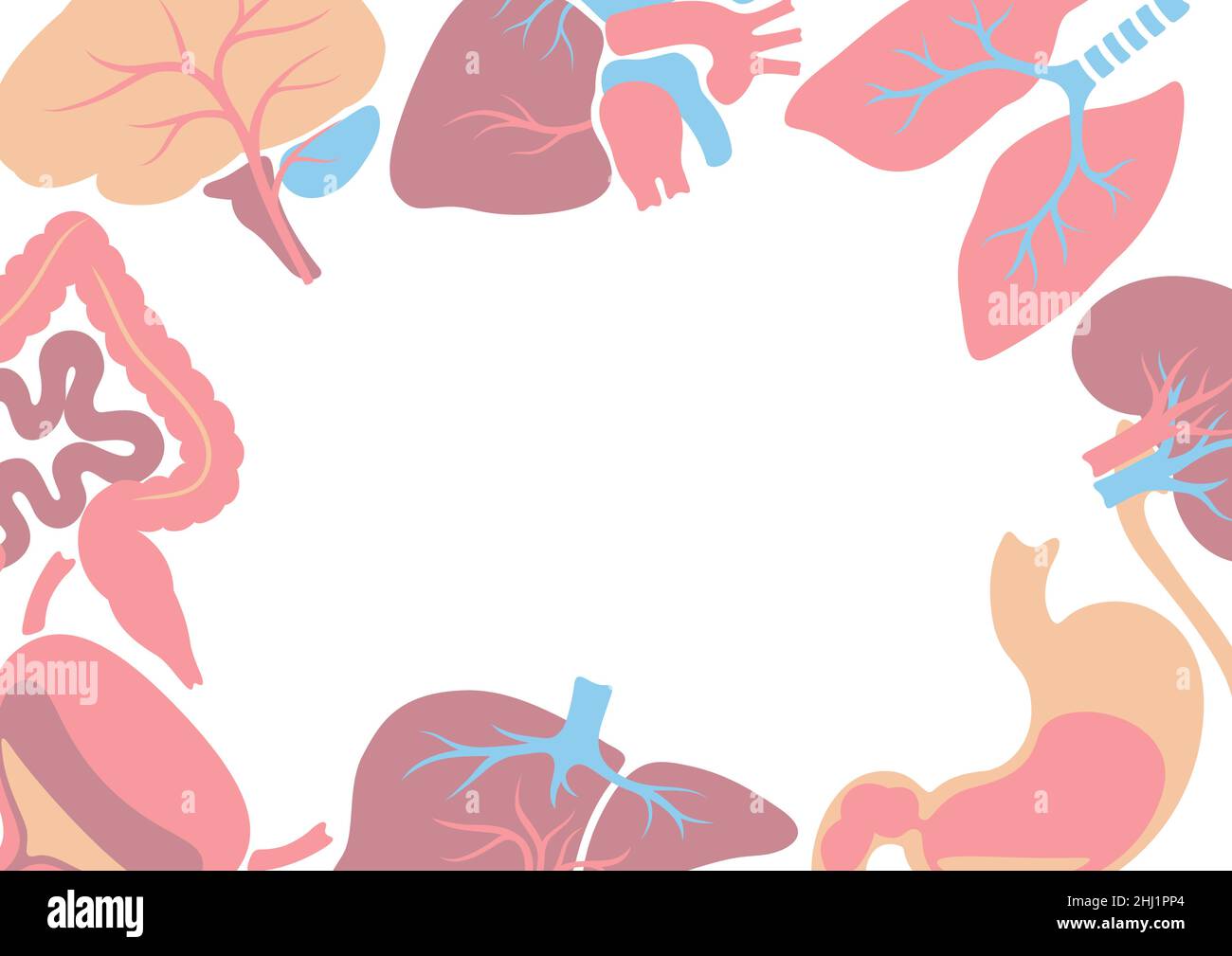Background with internal organs. Human body anatomy. Health care and ...