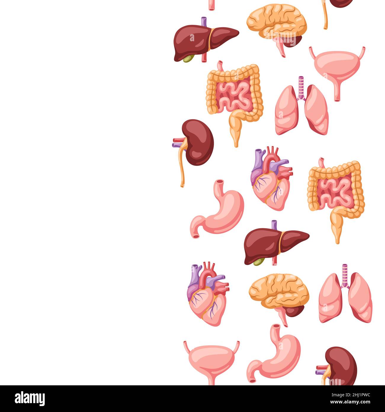 Seamless pattern with internal organs. Human body anatomy. Health care ...