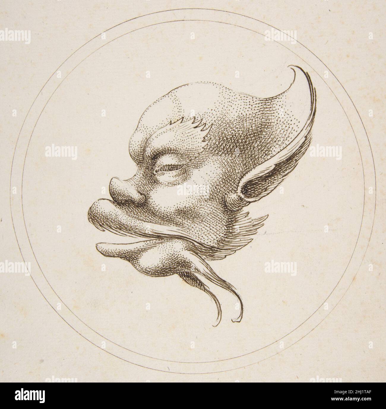 Grotesque Head With a Large Eyebrow Looking to the Left Within a Circle ...