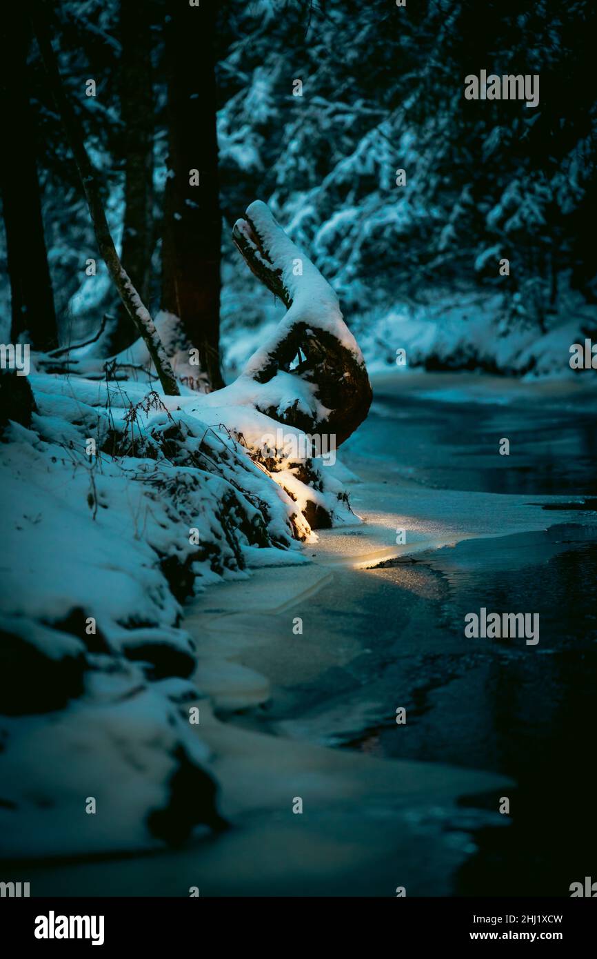 Stream with tree hi-res stock photography and images - Alamy