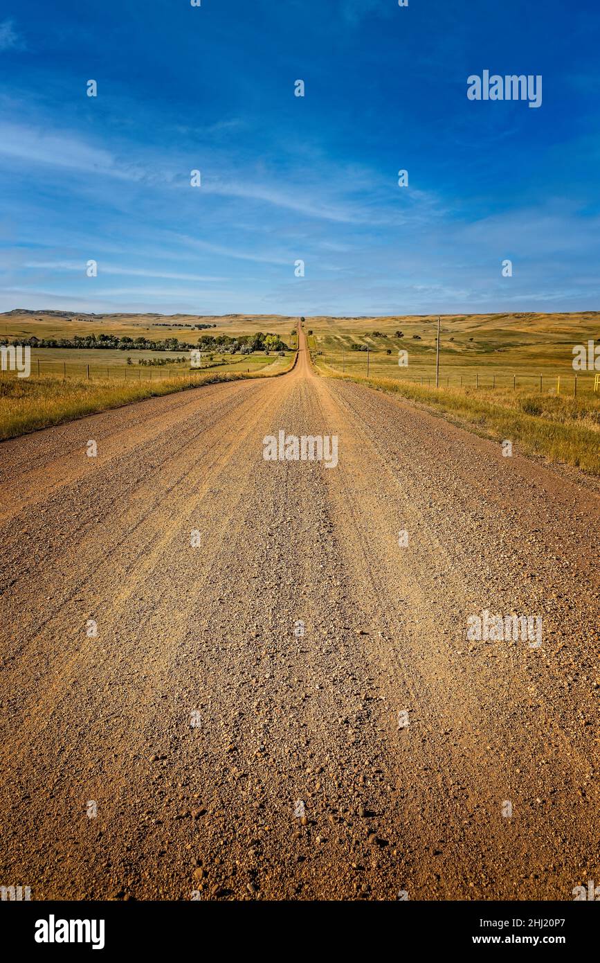 Straight dirt road between agricultural fields in Montana Stock Photo ...