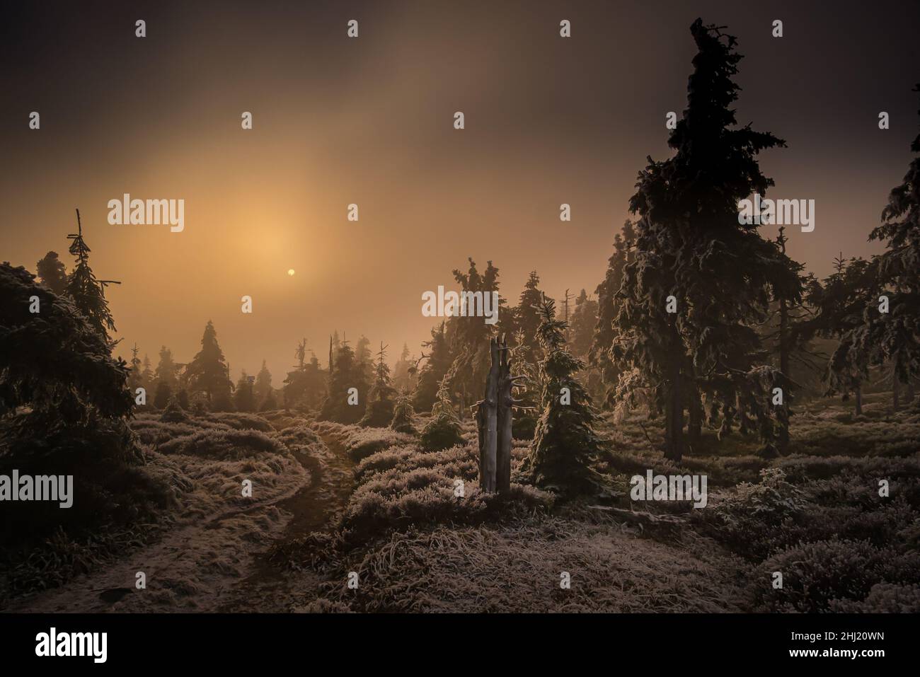 Mountain landscape with trees covered with rime, sun beams coming ...