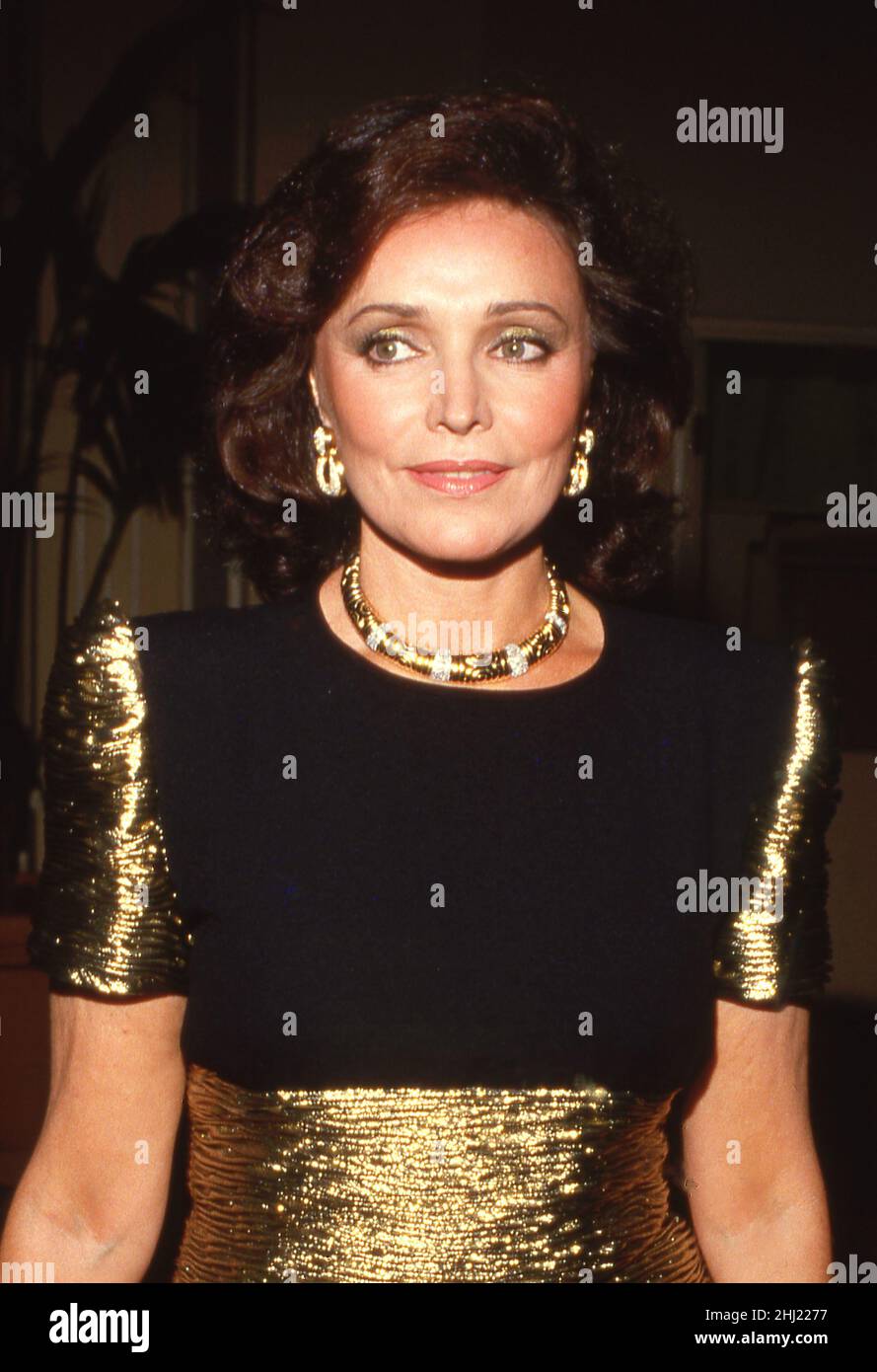 Joanne Carson Circa 1980's Credit: Ralph Dominguez/MediaPunch Stock ...