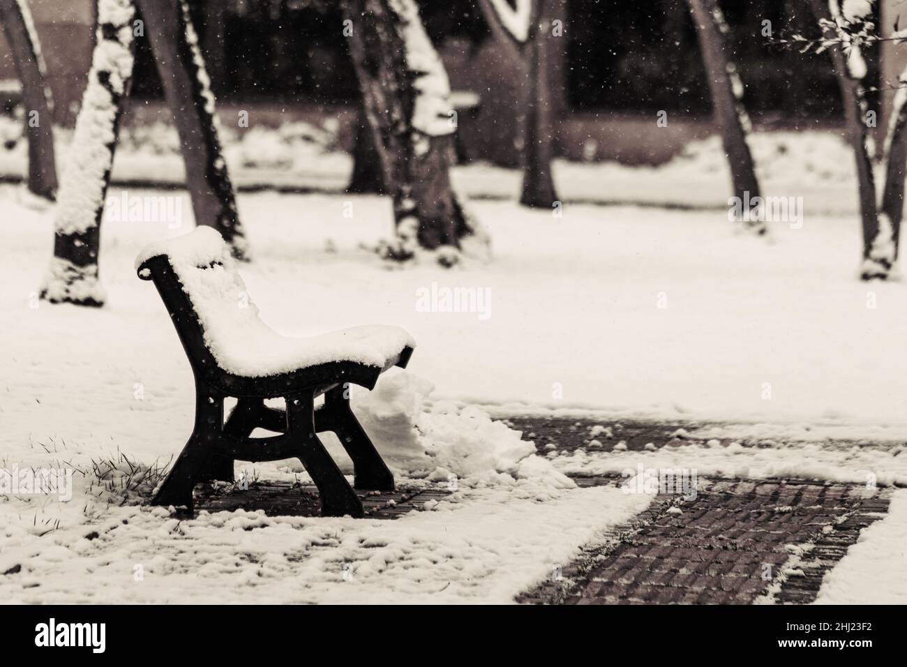 An empty bench in a garden while it's snowing. Bench covered with snow ...