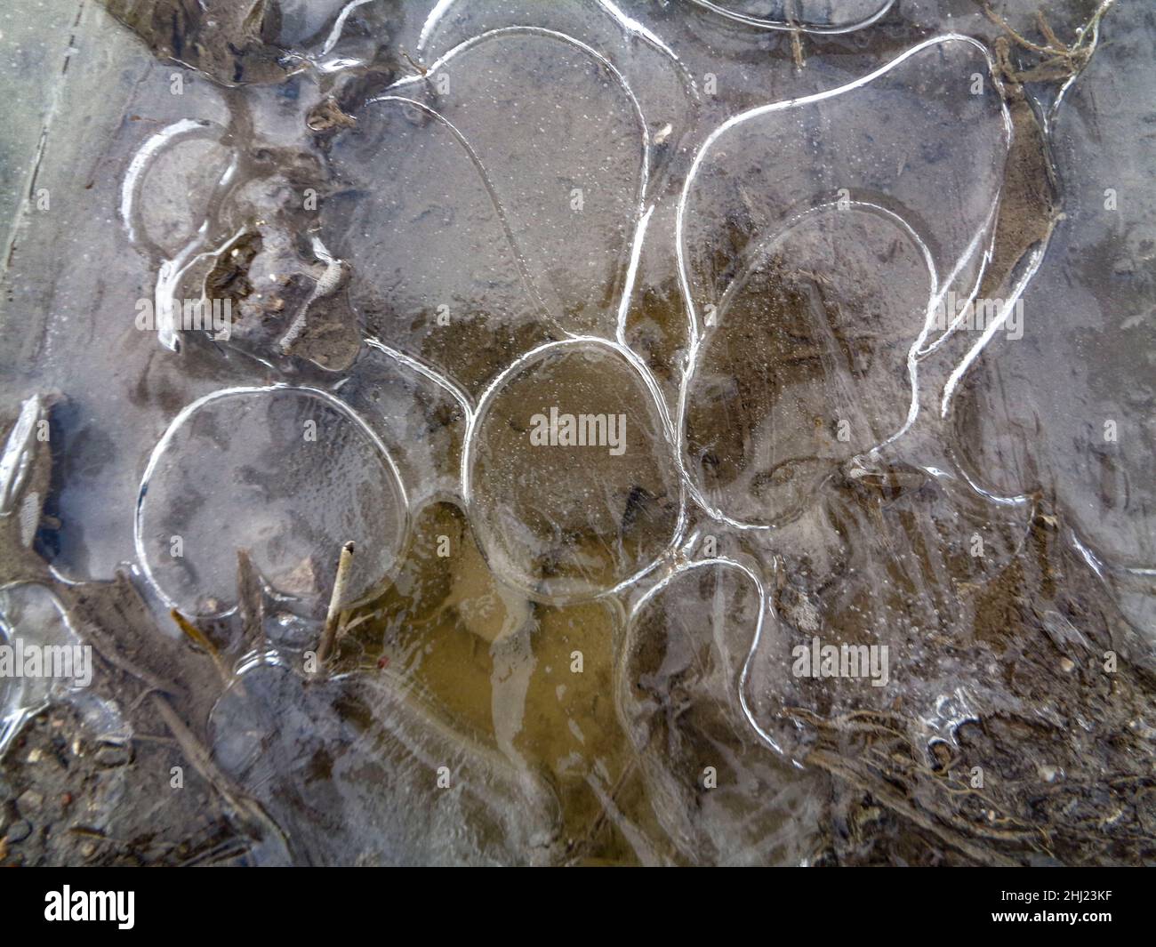 Macro semi-abstract Frozen water patterns, natural environmental ...