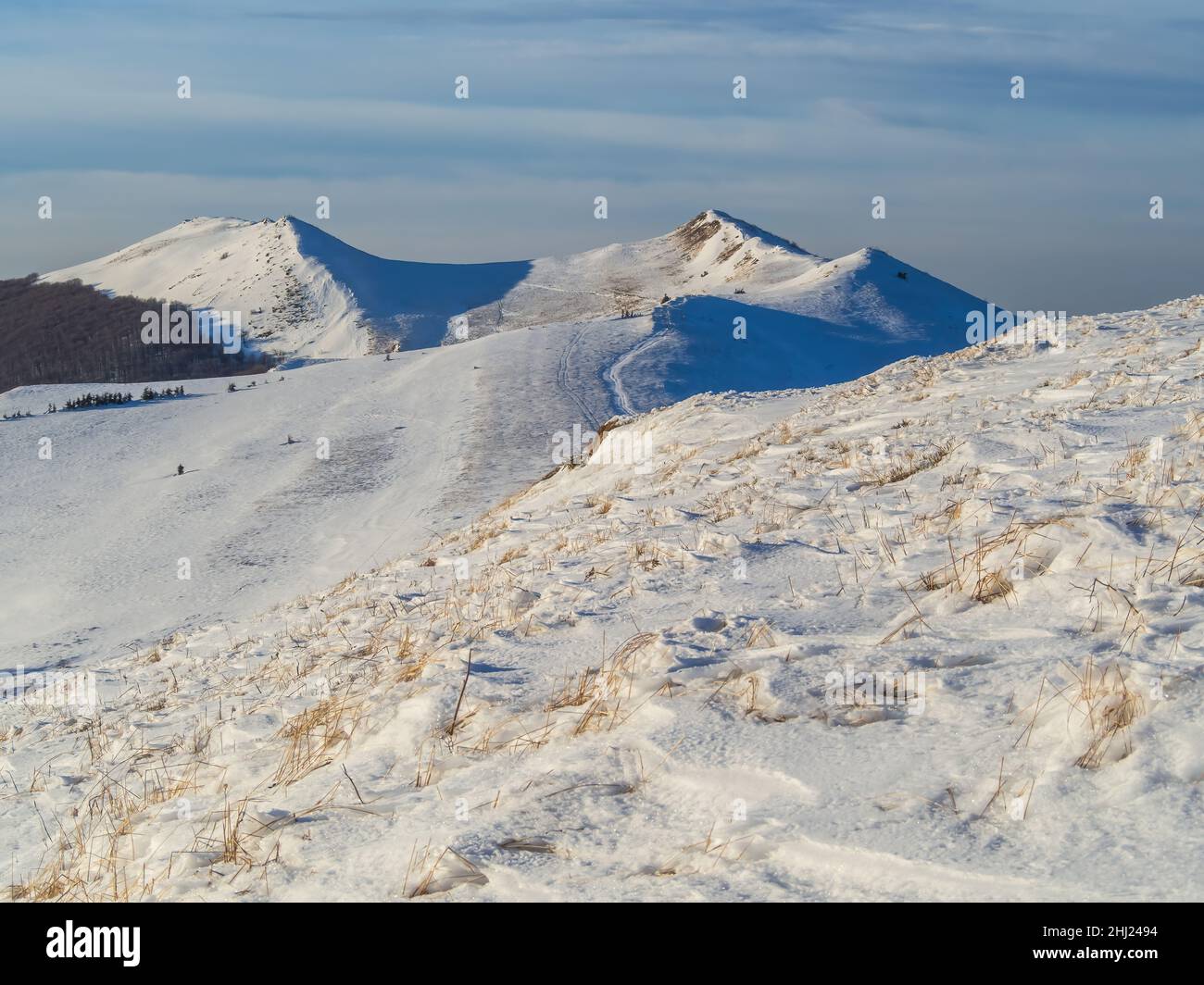 Camera poland hi-res stock photography and images - Alamy