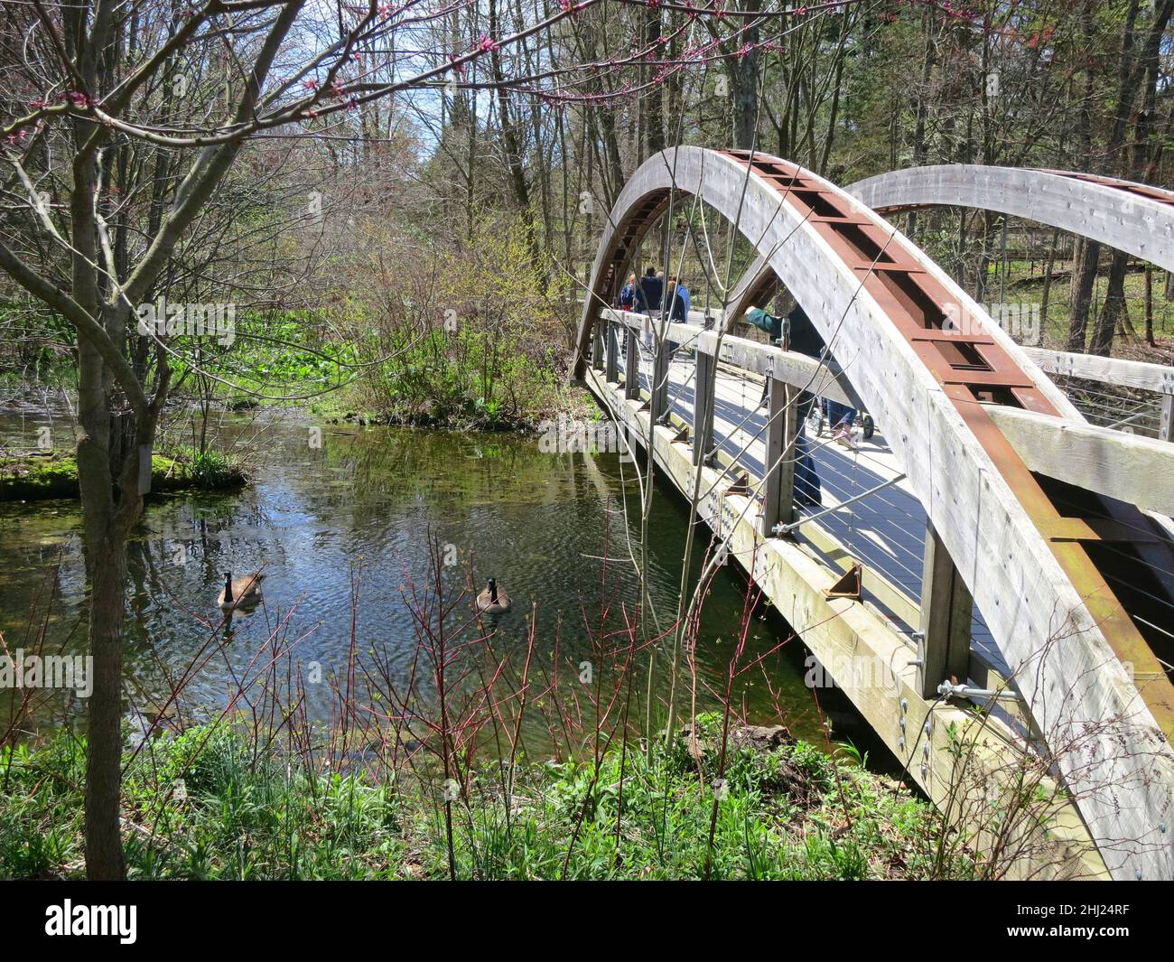 Wooden bridge design hi-res stock photography and images - Alamy