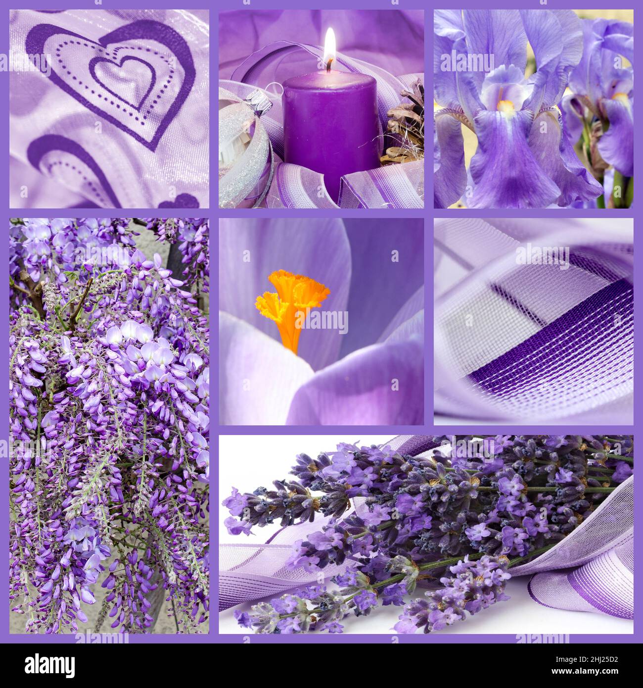 Lila collage hi-res stock photography and images - Alamy