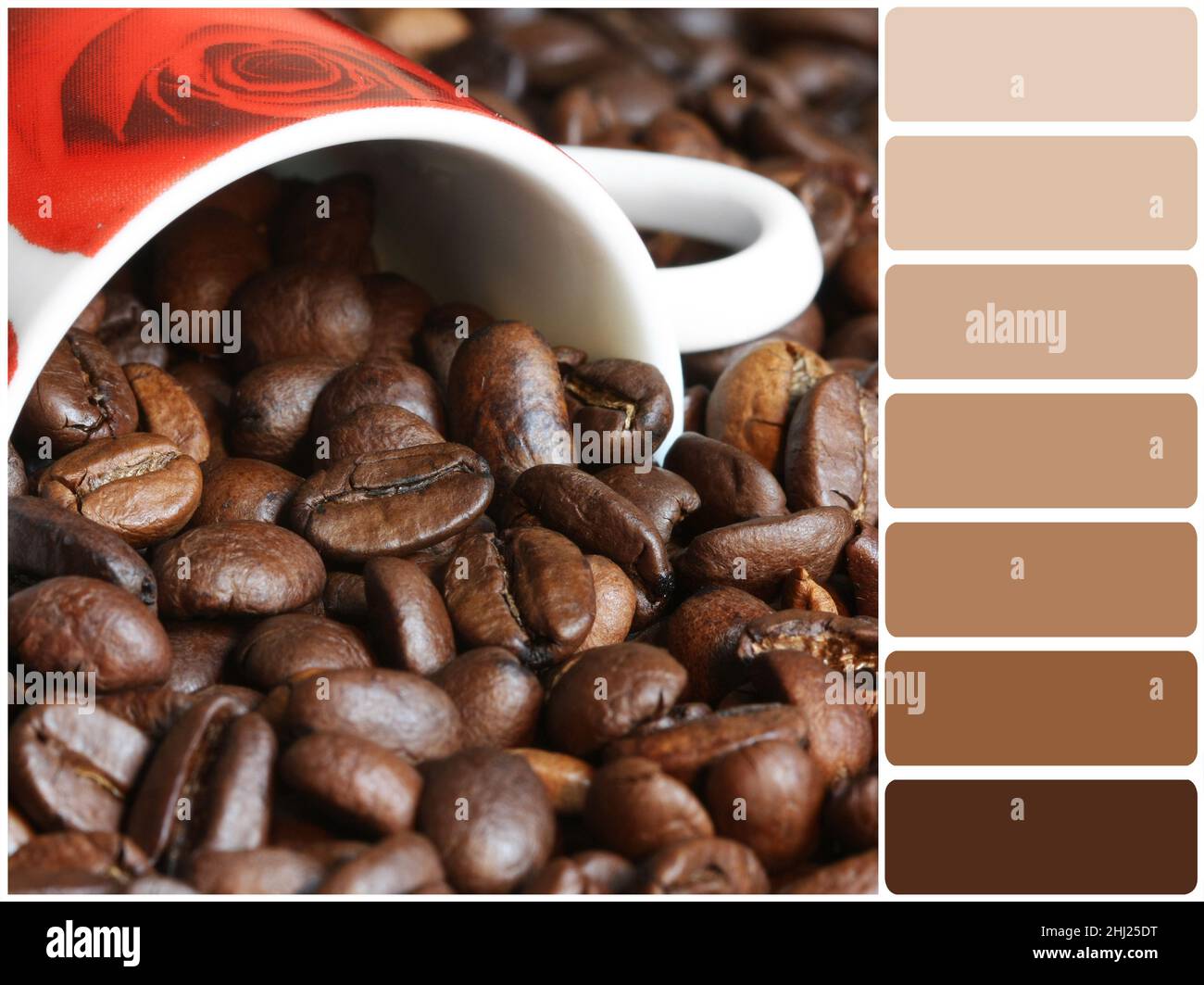 Color palette series: shades of brown Stock Photo - Alamy