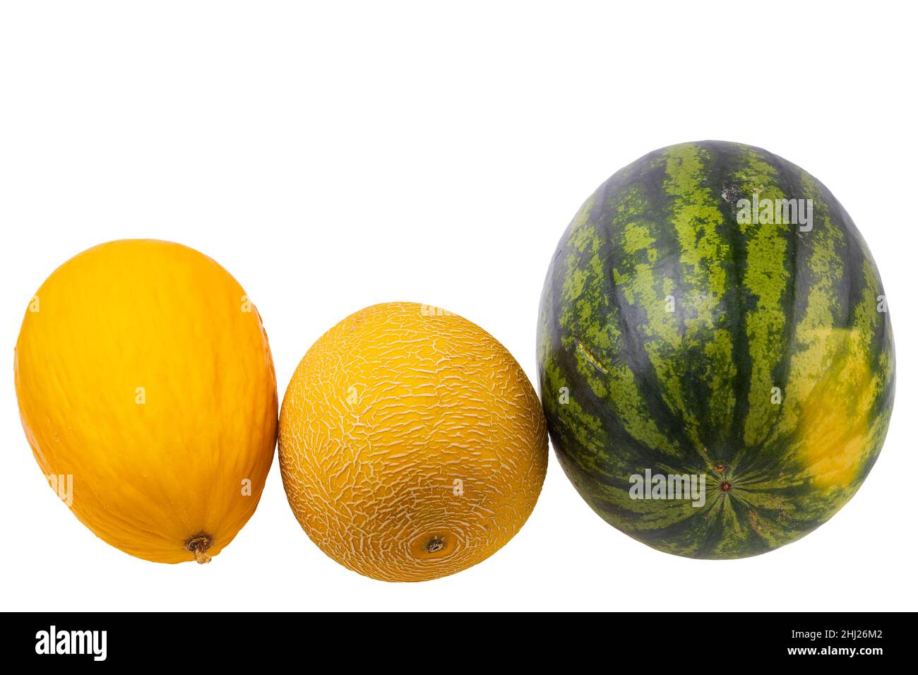 Different Watermelon Colors