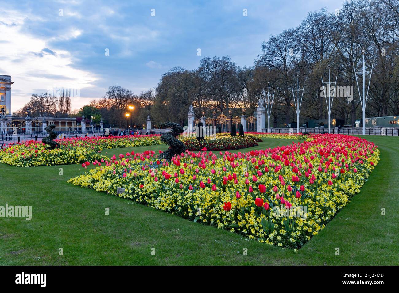 Red tulips blossom in the Buckingham Palace Memorial Gardens at London ...