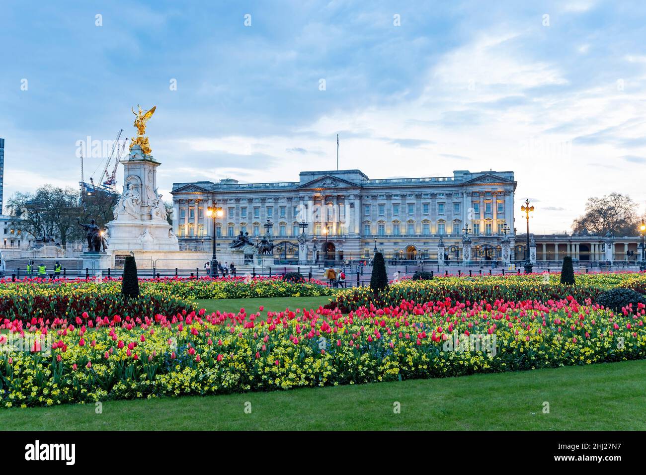 Red tulips blossom in the Buckingham Palace Memorial Gardens at London ...