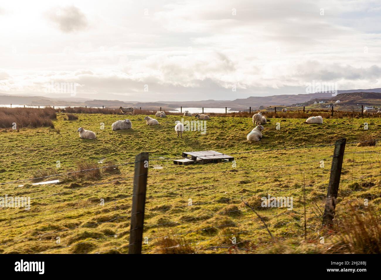 Overcast view of rural landscape at Boreraig, Scotland Stock Photo - Alamy